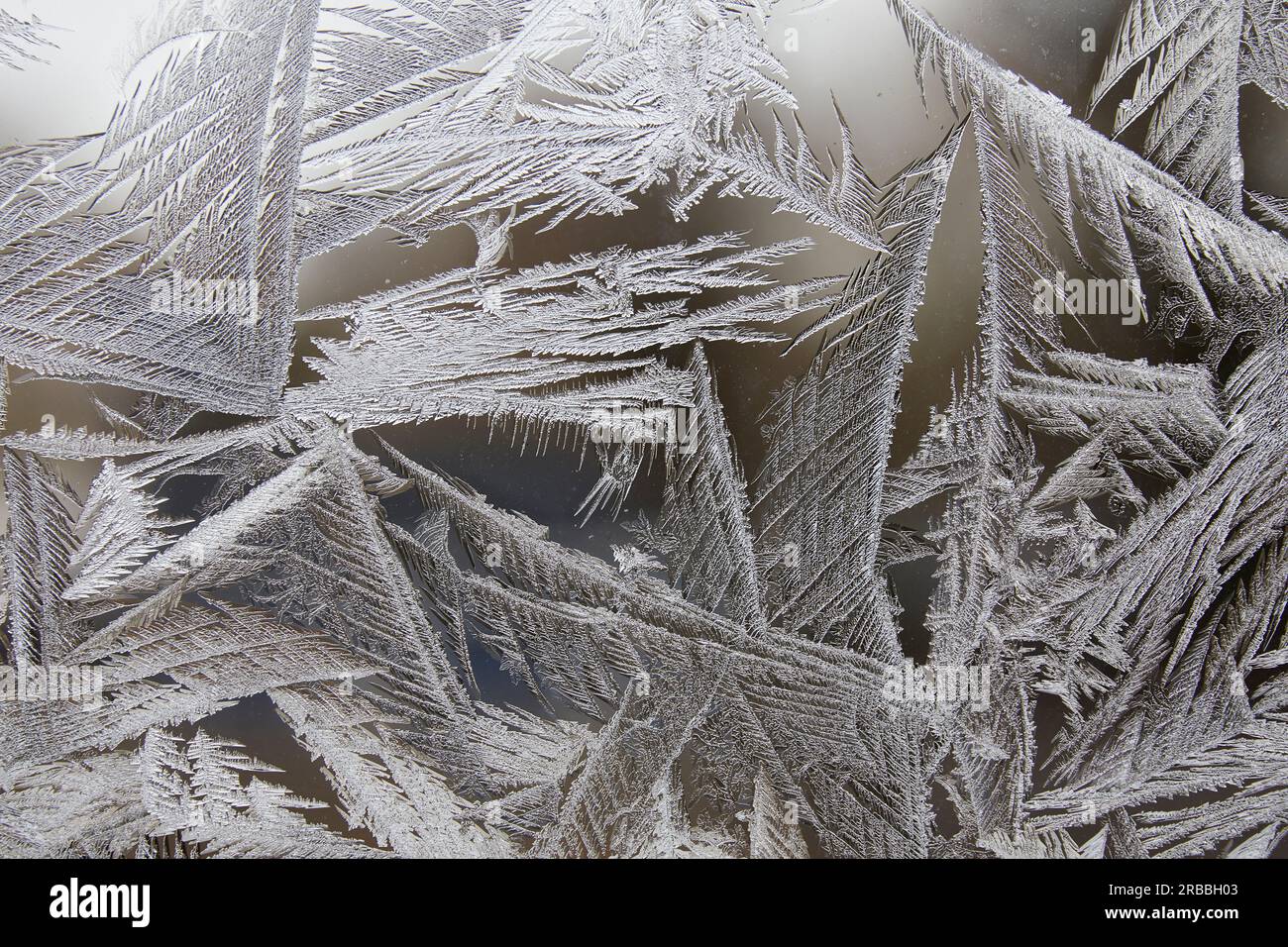 Translucent frost hi-res stock photography and images - Alamy