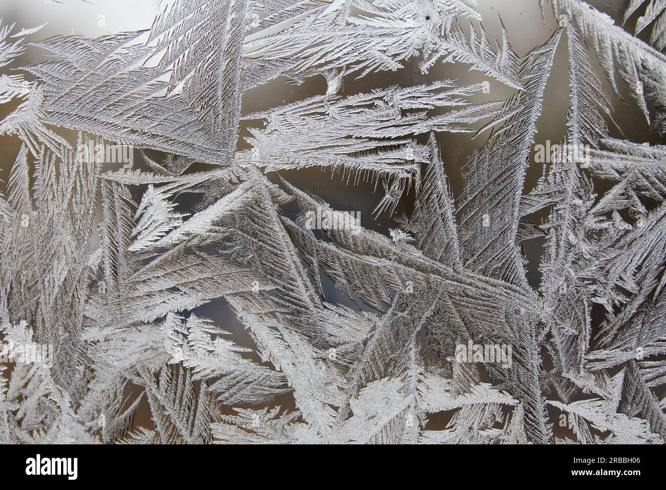 Translucent frost hi-res stock photography and images - Alamy