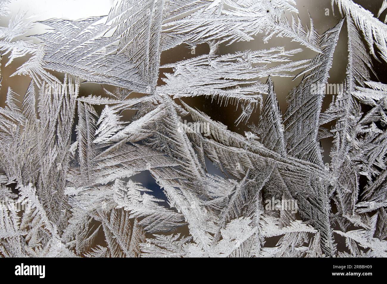 Frost sparkling hi-res stock photography and images - Alamy