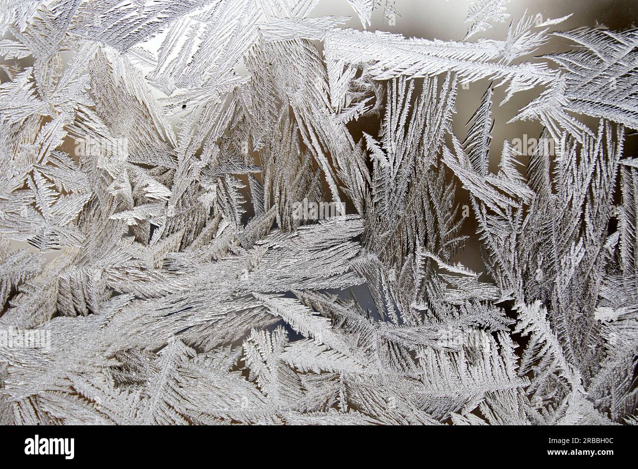 Translucent frost hi-res stock photography and images - Alamy
