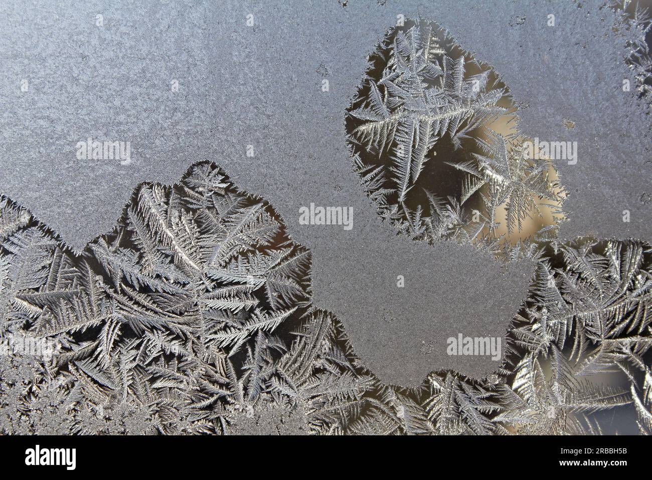 Frost freeze hi-res stock photography and images - Alamy