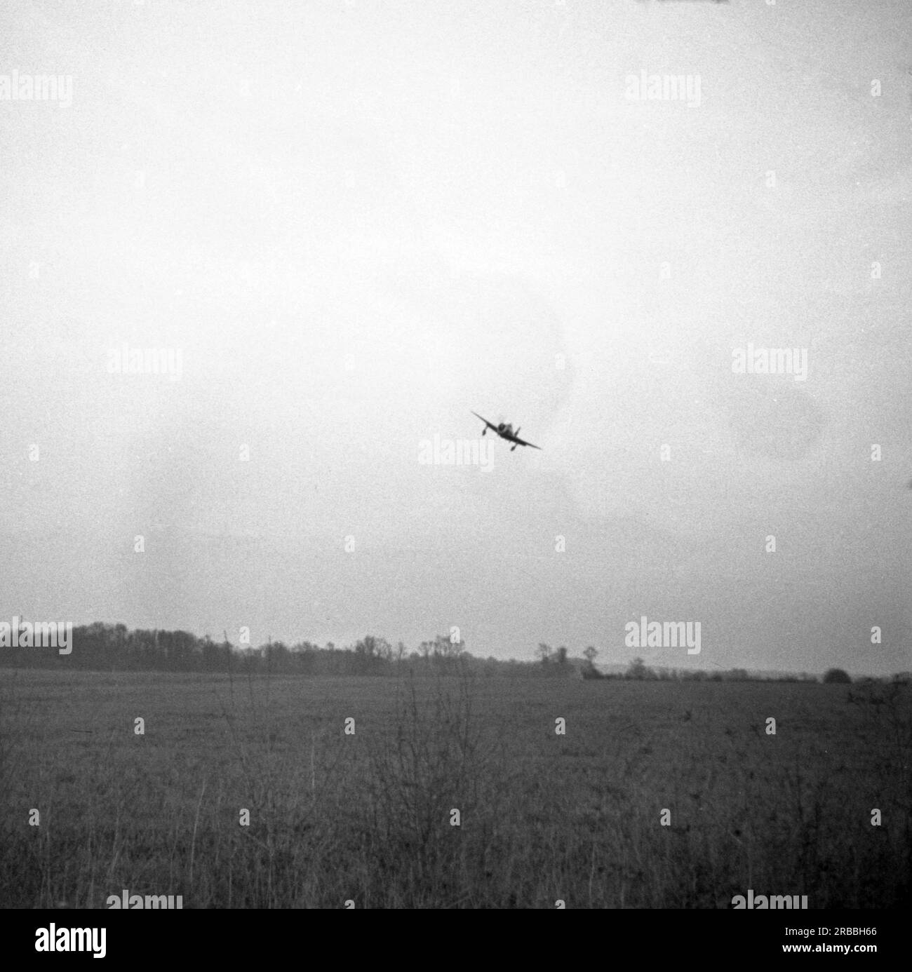 P-47D Thunderbolt Razorback - USAAF United States Army Air Force ...