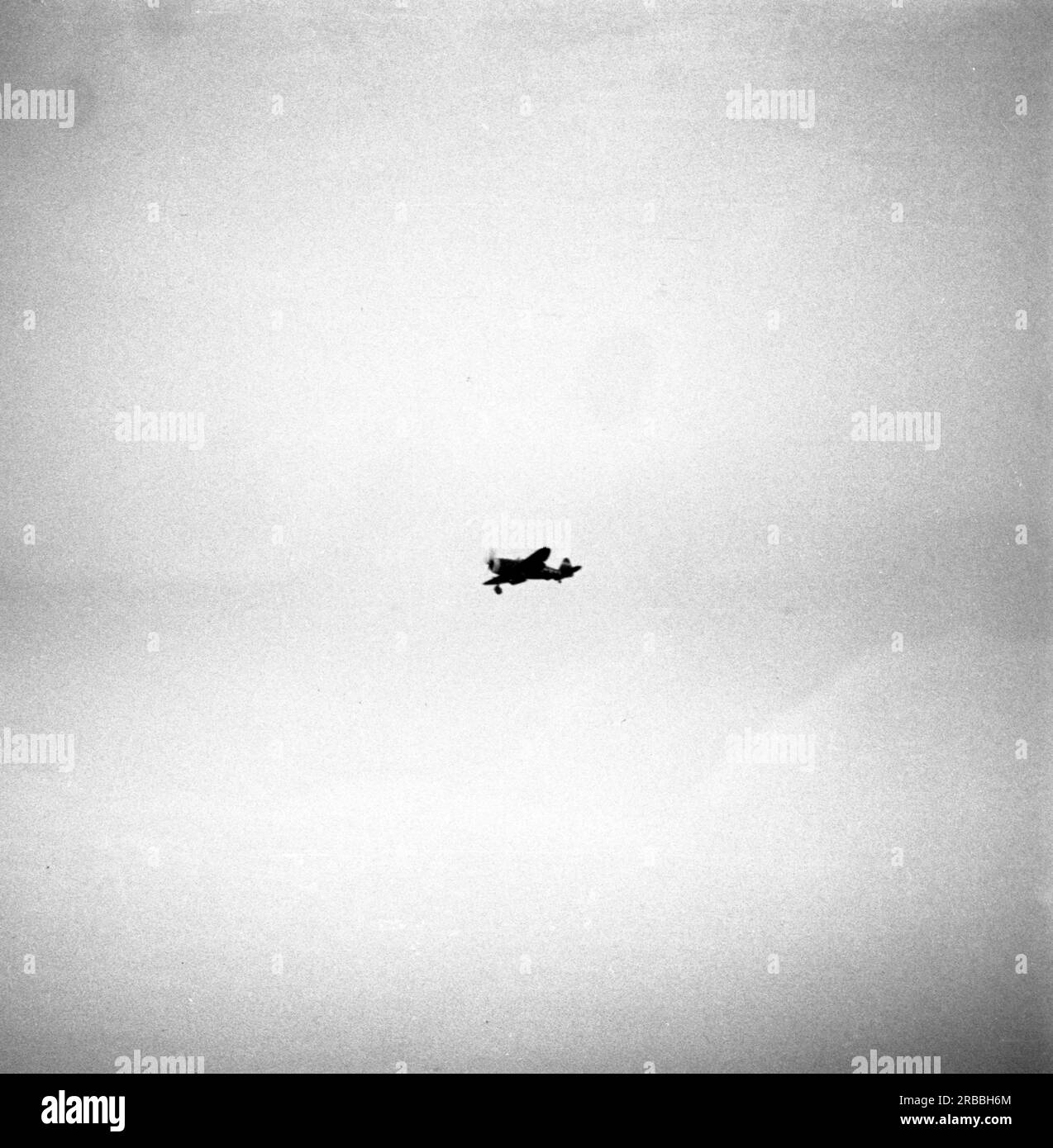 P-47D Thunderbolt Razorback - USAAF United States Army Air Force ...