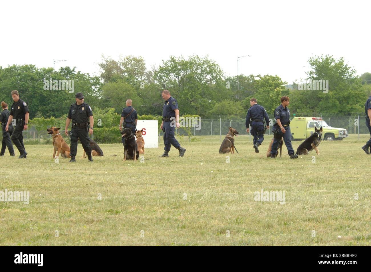Law enforcement canine exercises on the occasion of the U.S. Park ...