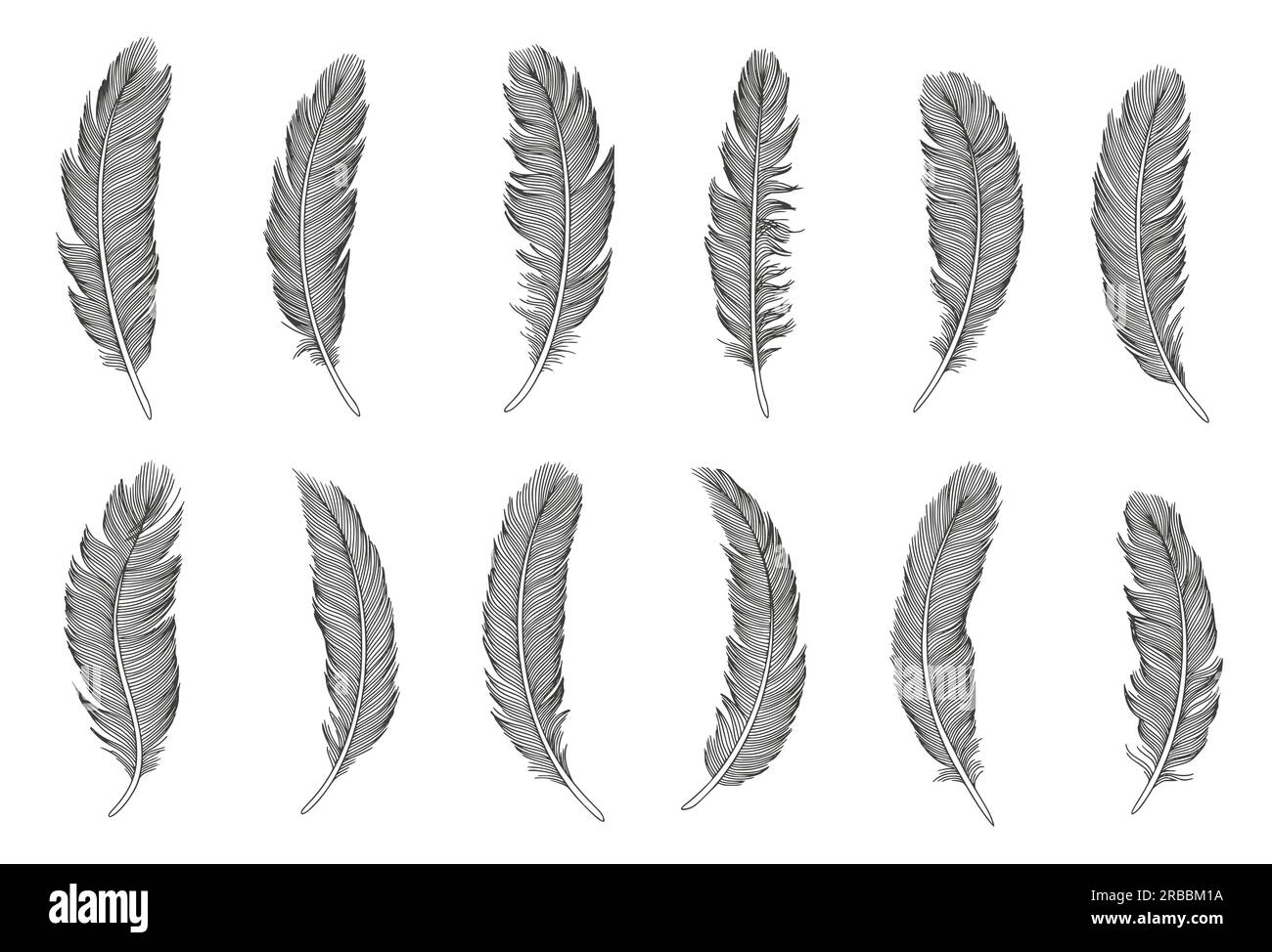 Feather icon set. Hand drawn illustration. Doodle sketch Stock Vector ...