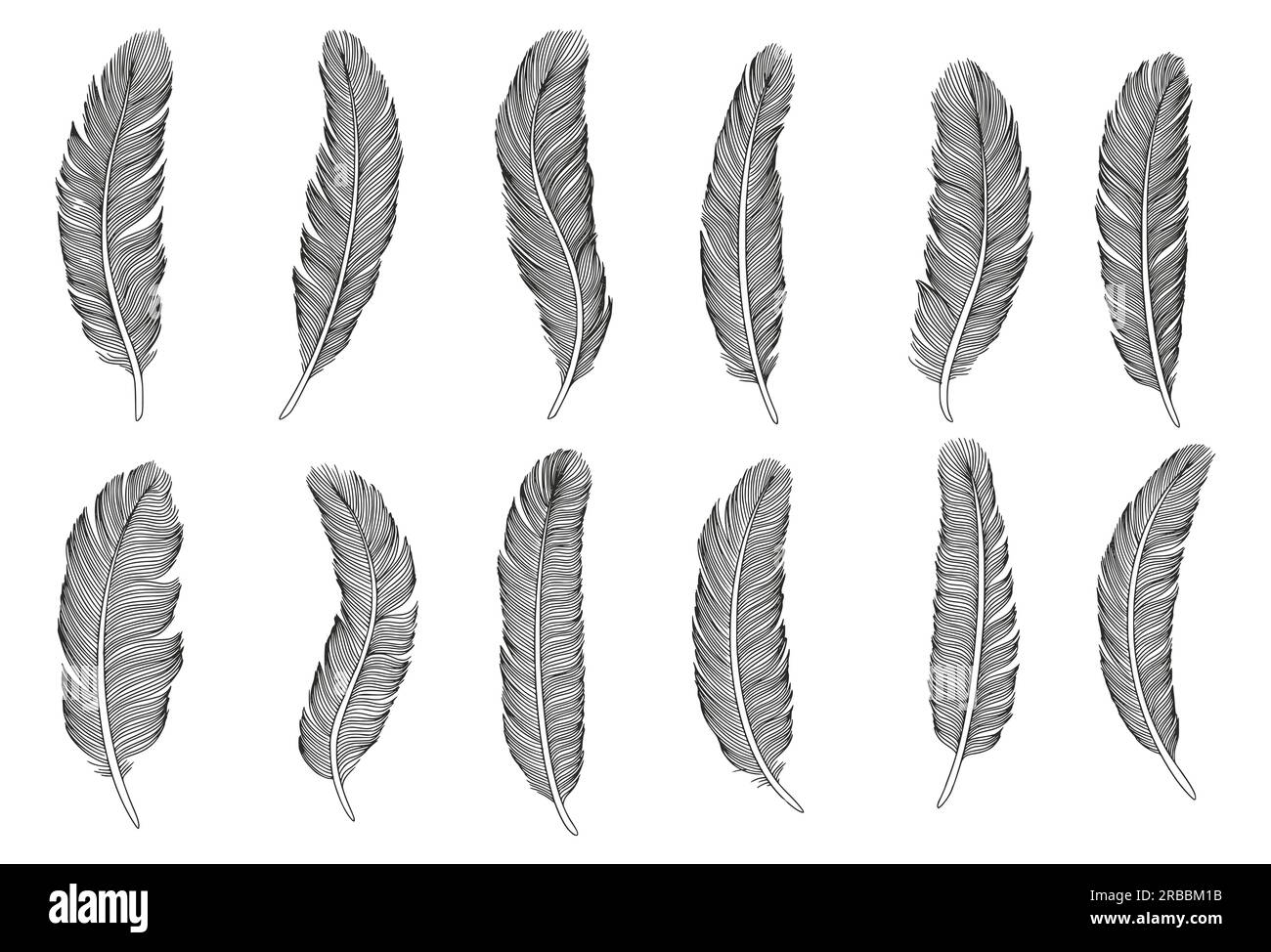 Feather icon set. Hand drawn illustration. Doodle sketch Stock Vector ...