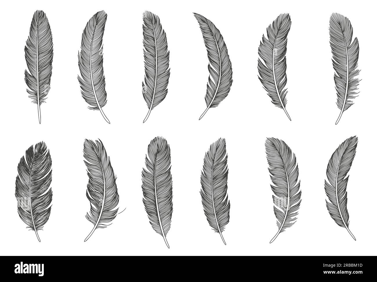 Feather icon set. Hand drawn illustration. Doodle sketch Stock Vector ...