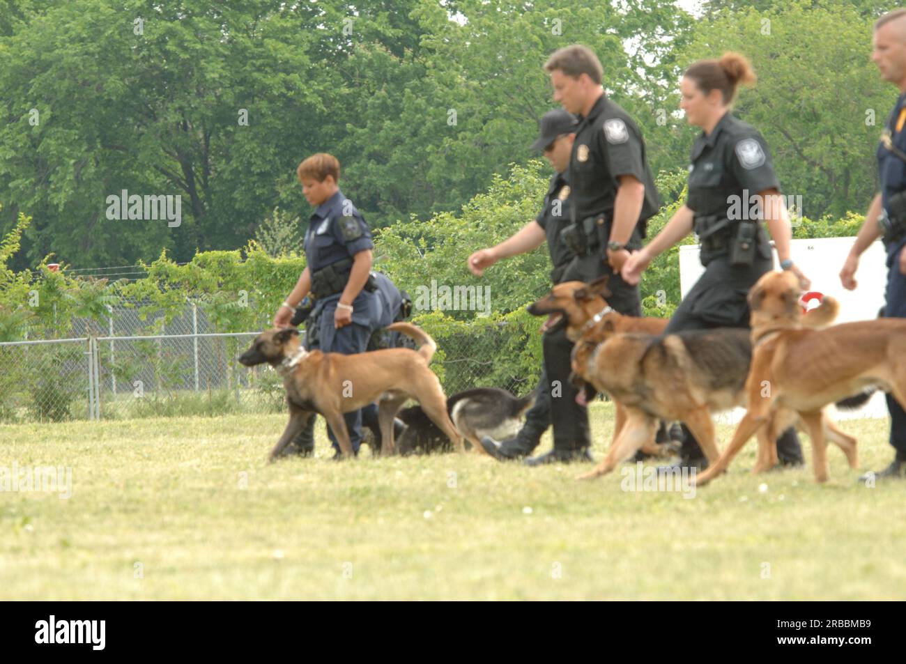 Law enforcement canine exercises on the occasion of the U.S. Park ...