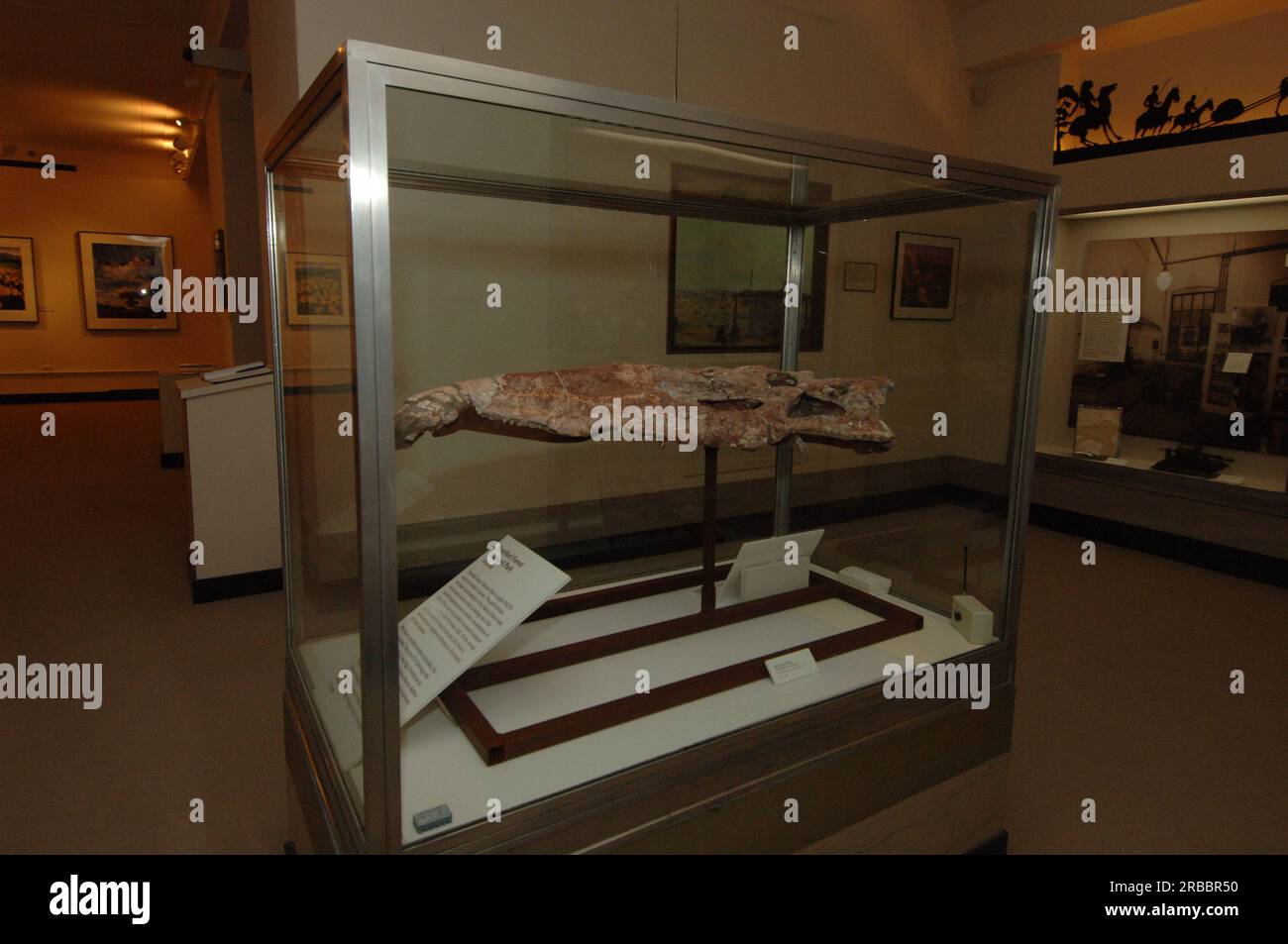 Interior Museum exhibits, viewing spaces Stock Photo - Alamy