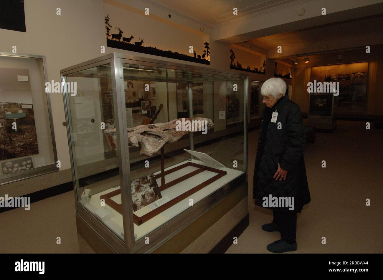 Interior Museum exhibits, viewing spaces Stock Photo - Alamy