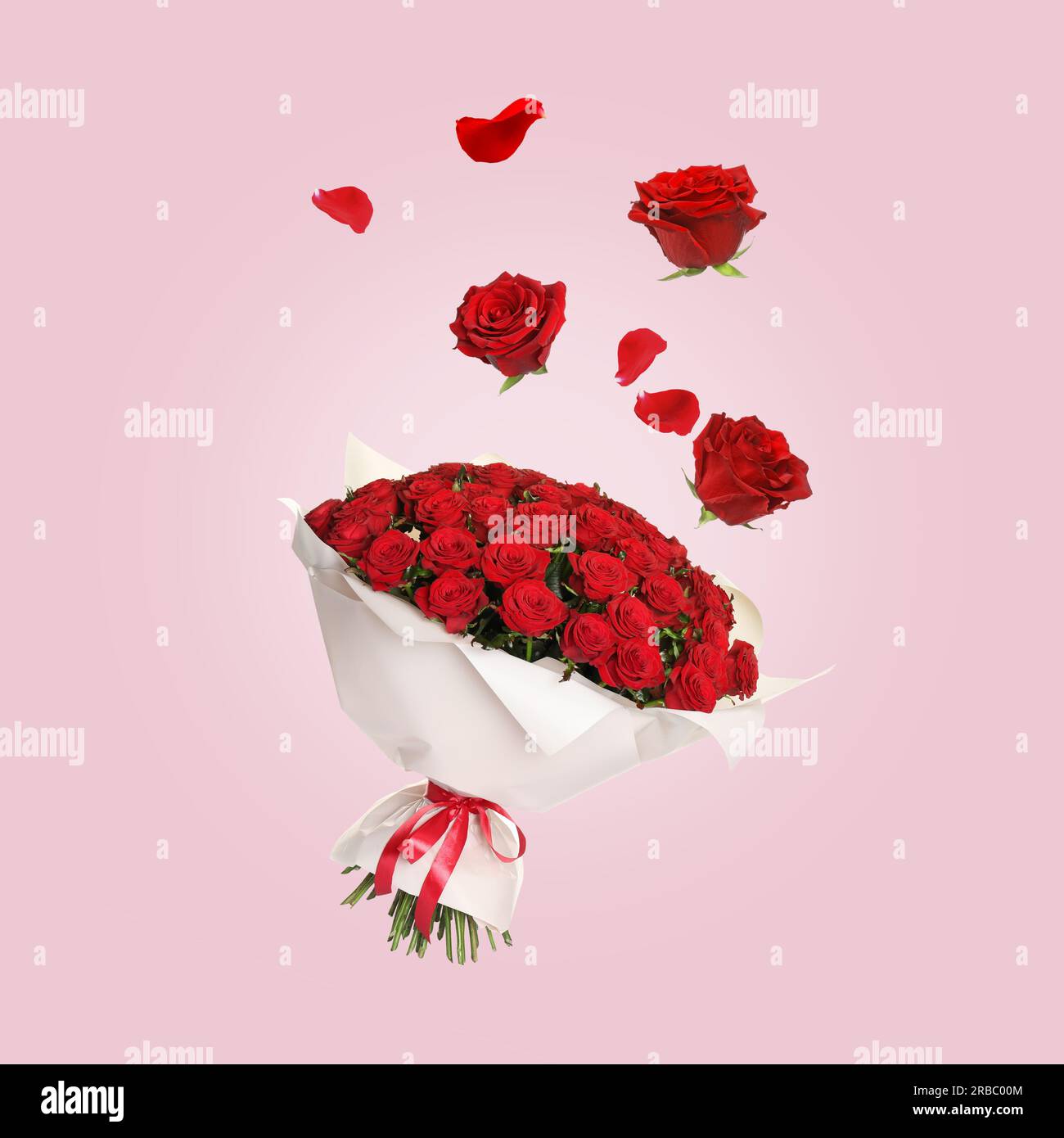 Flower buds and petals flying into bunch of red roses on pink ...