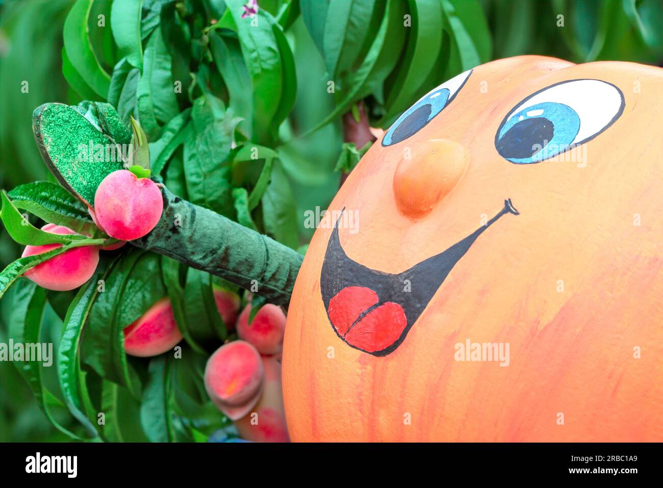 Annual peach (Prunus persica) festival with anthropomorphic peach ...