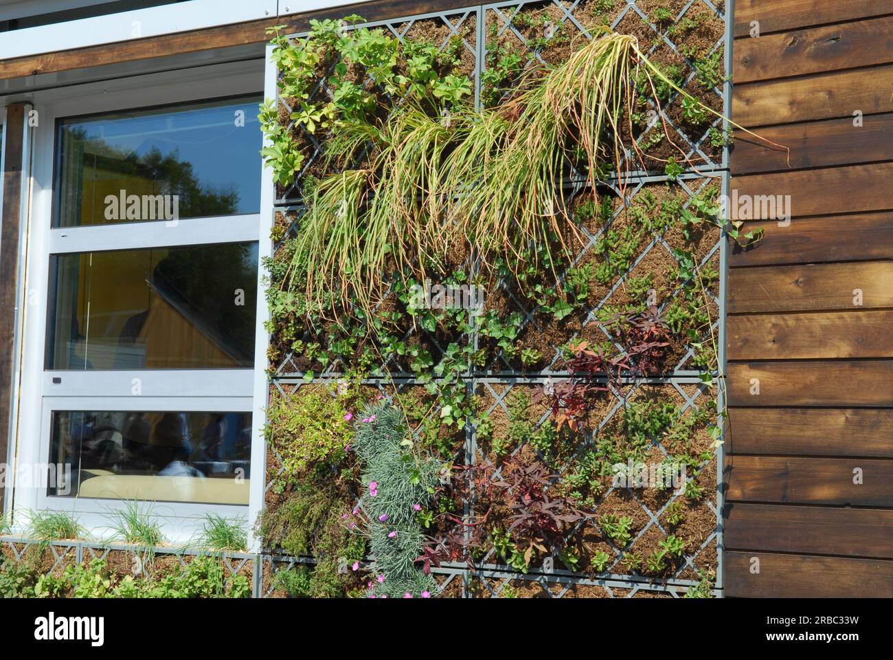 Solar Decathlon housing displays --from design competition for homes ...