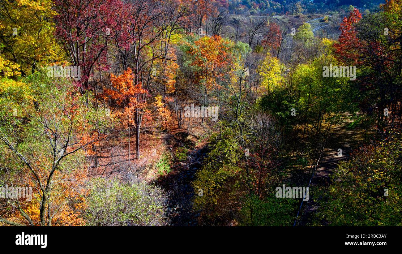 Body colour hi-res stock photography and images - Alamy