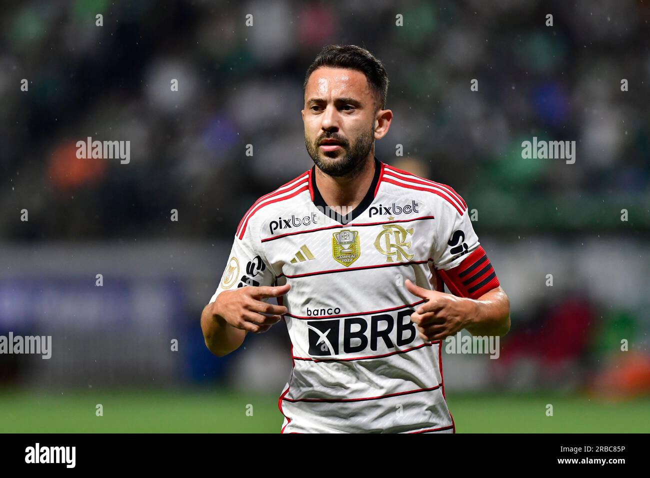São Paulo (SP), 08 July - Soccer/PALMEIRAS-FLAMENGO - Everton Ribeiro ...