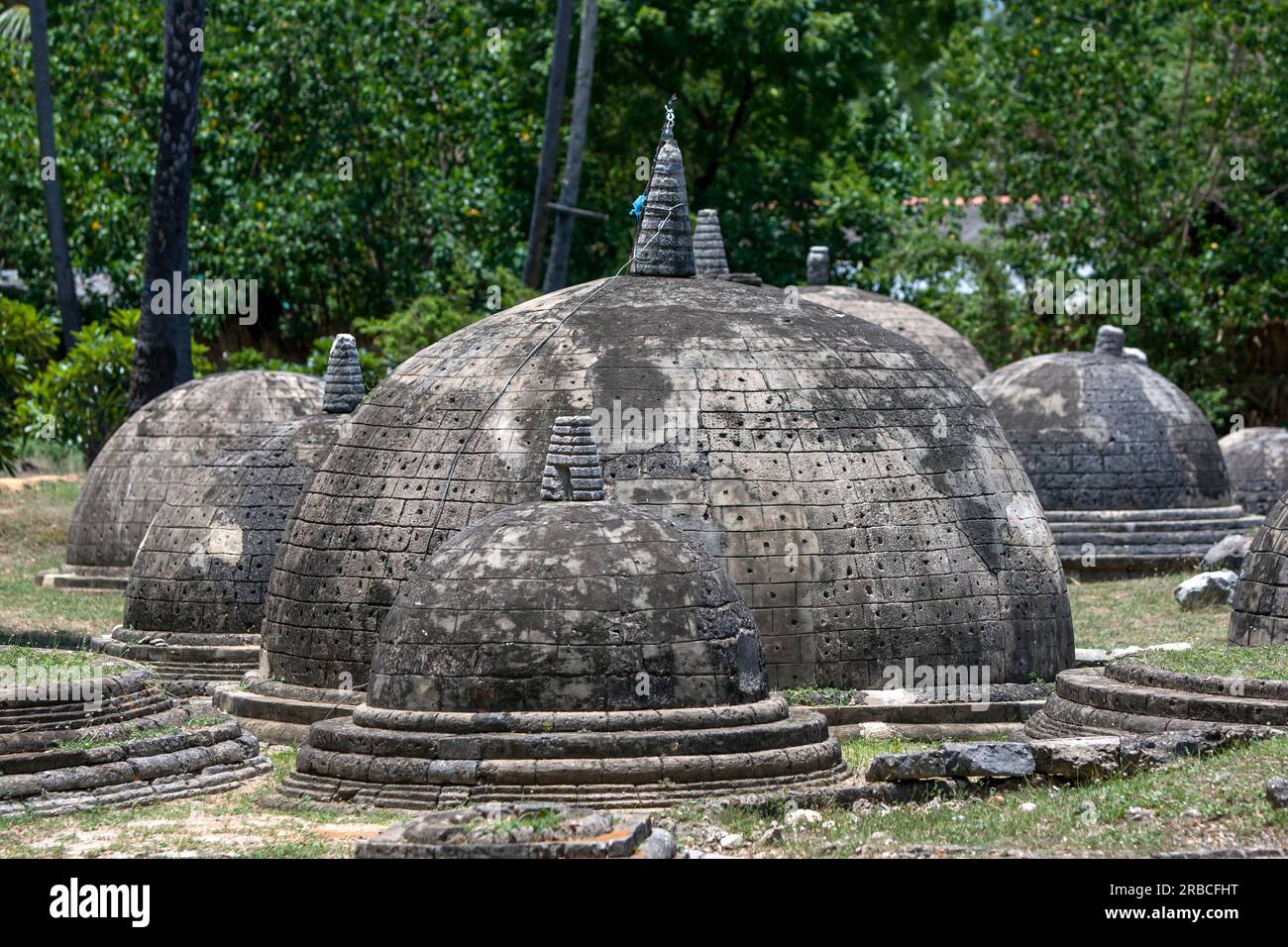 A section of the 20 visible stupas at Kathurugoda (Kantharodai) Ancient ...