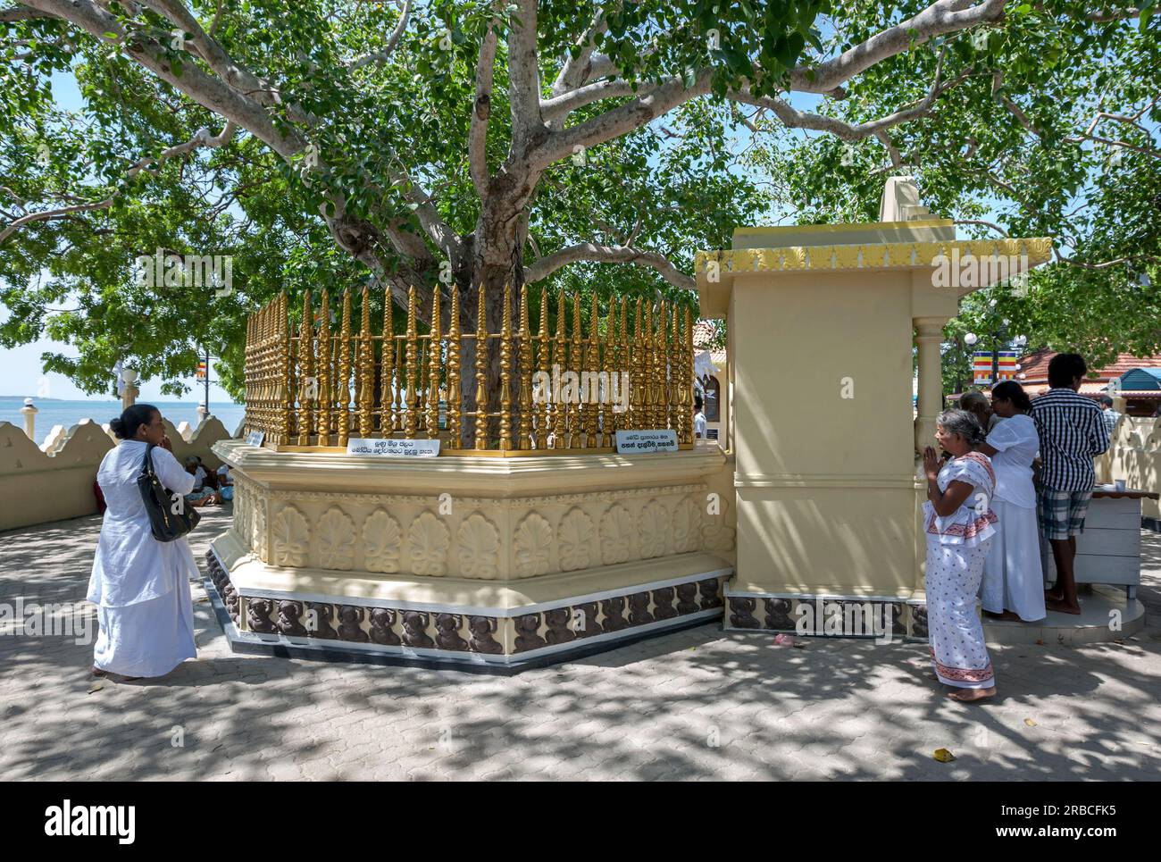 JAFFNA, SRI LANKA - AUGUST 25, 2013 : Women pray adjacent to the Sacred ...