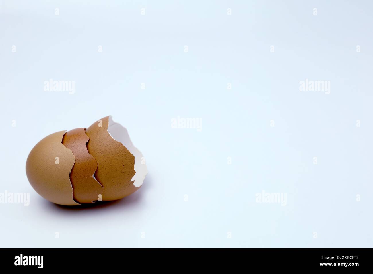 Close-up view cracked eggshell on white background with shadow and soft ...