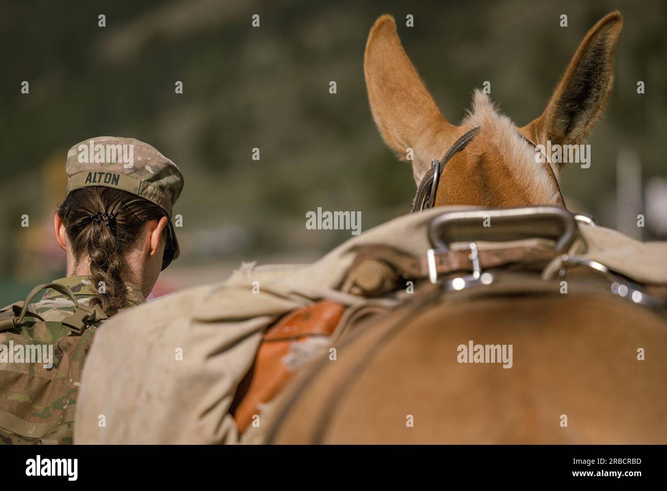 Military applications division hi-res stock photography and images - Alamy