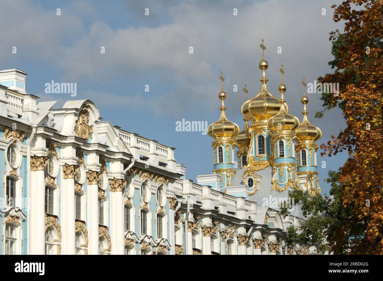 Pushkin palace hi-res stock photography and images - Alamy