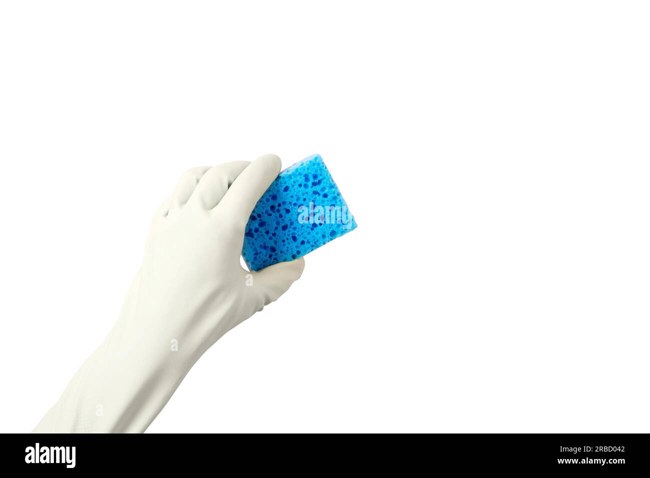 hand in a green rubber glove holds a blue washing sponge isolated on ...
