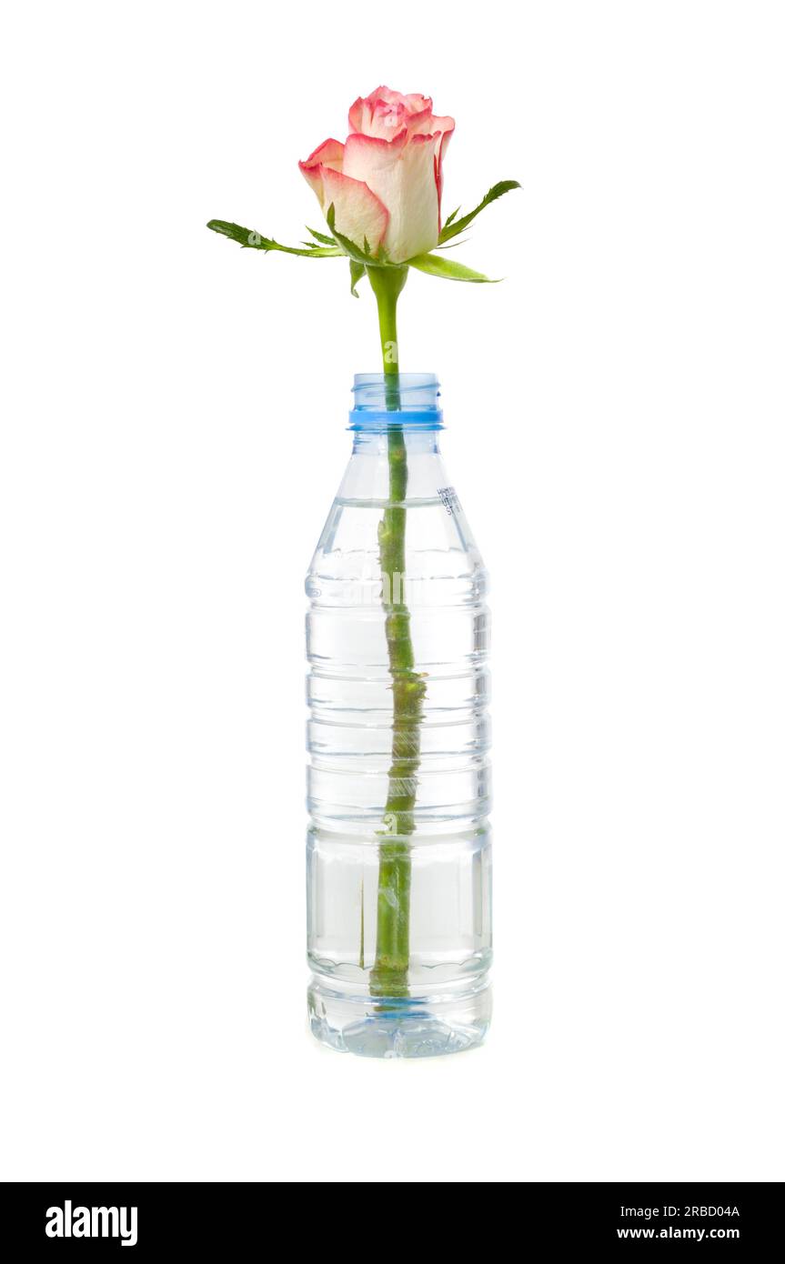 Bottle of rose water isolated hi-res stock photography and images - Alamy