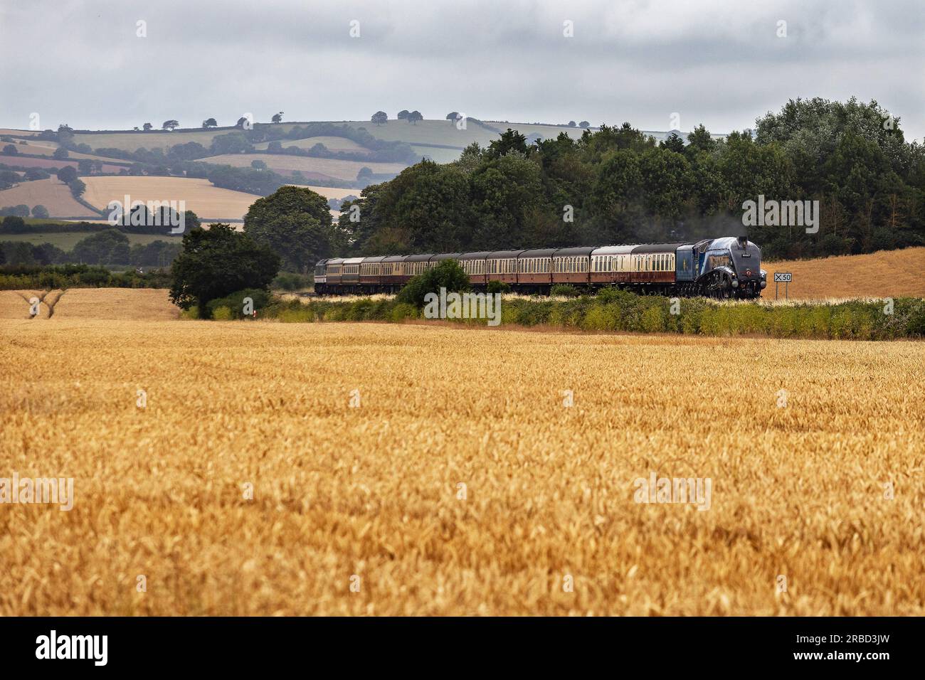 LNER Class A4 4498 (60007) Sir Nigel Gresley steam train pictured travelling through the Devon ...