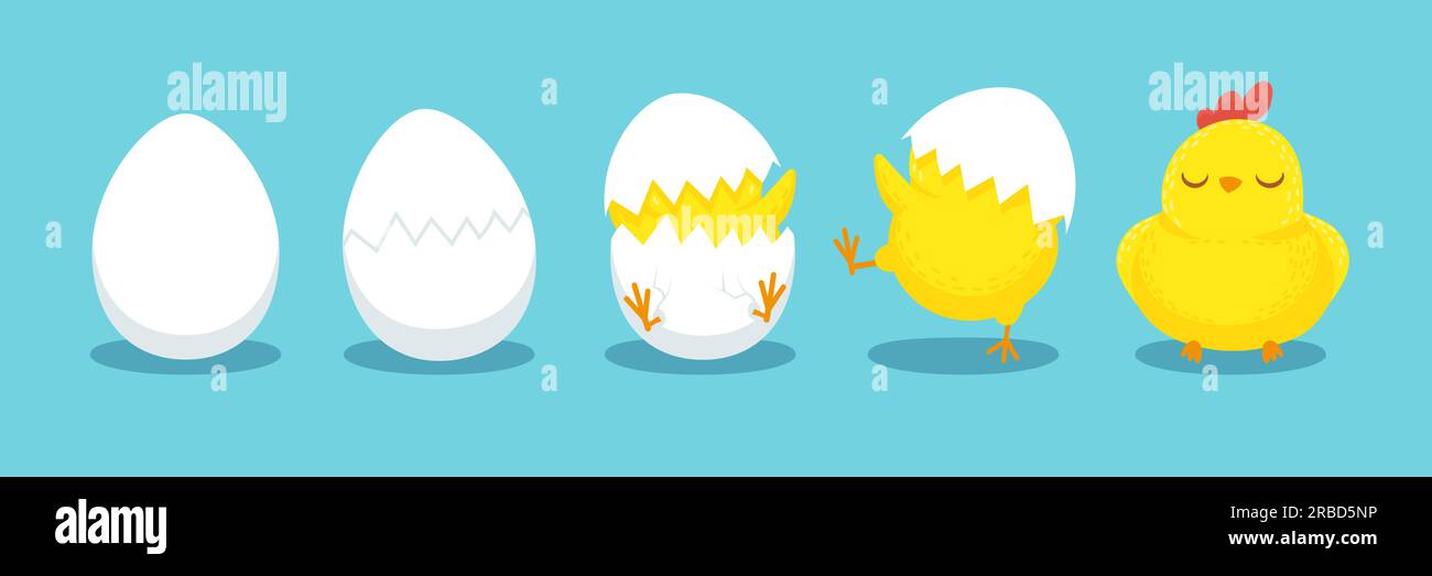Spring hatching chick Stock Vector Images - Alamy