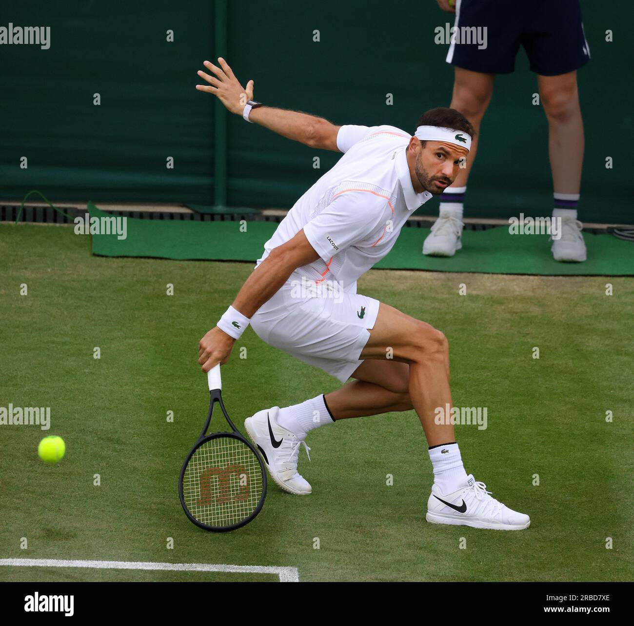 Gregor dimitrov wimbledon hi-res stock photography and images - Alamy