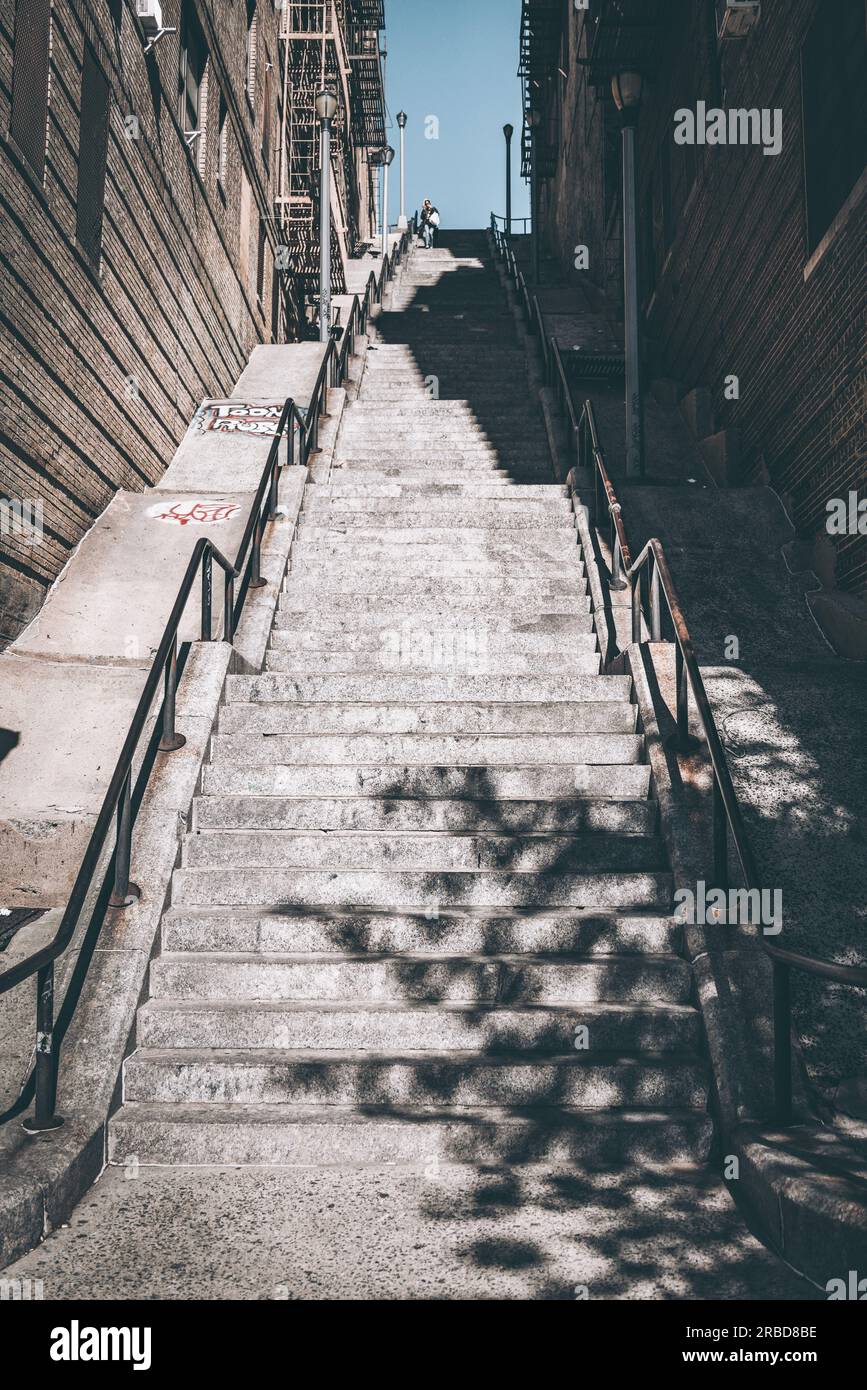 Shakespeare steps, Bronx featured in The Joker movie Stock Photo - Alamy