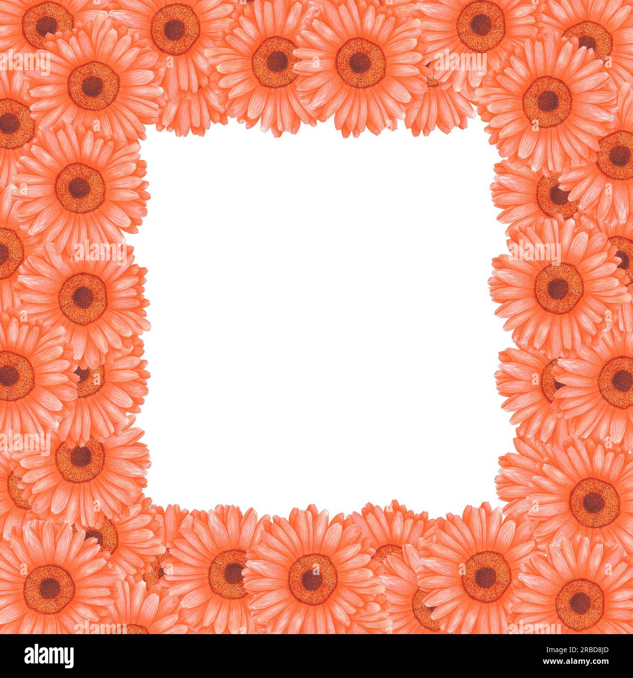 Hand drawn watercolor orange calendula flowers frame boarder isolated ...