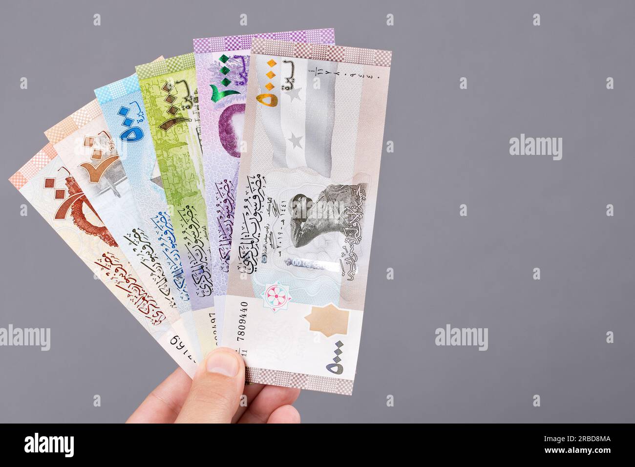 Syrian money - pound in the hand on a gray background Stock Photo - Alamy