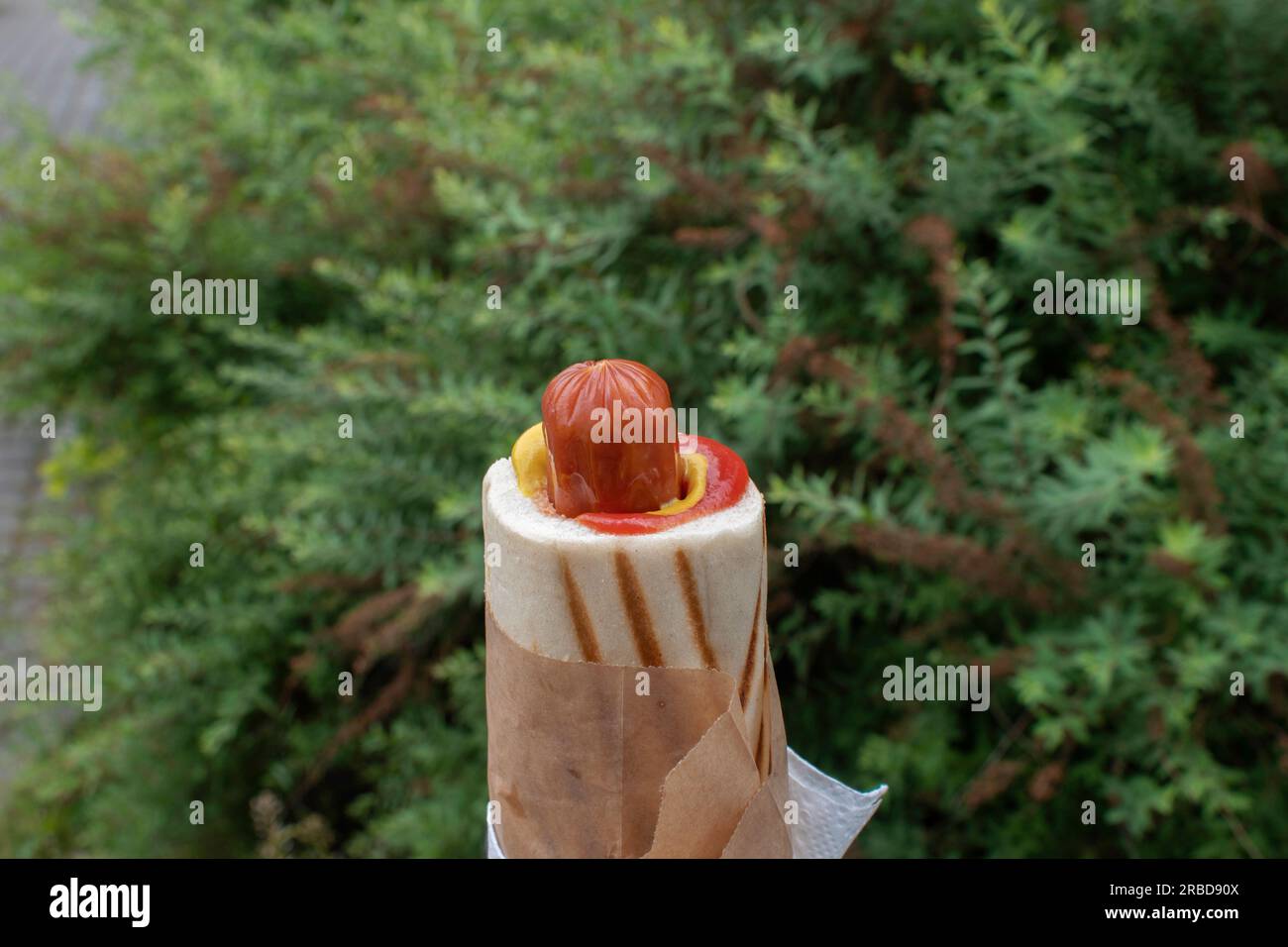 polish chicken hot dog with tomato: a classic polish street food ...