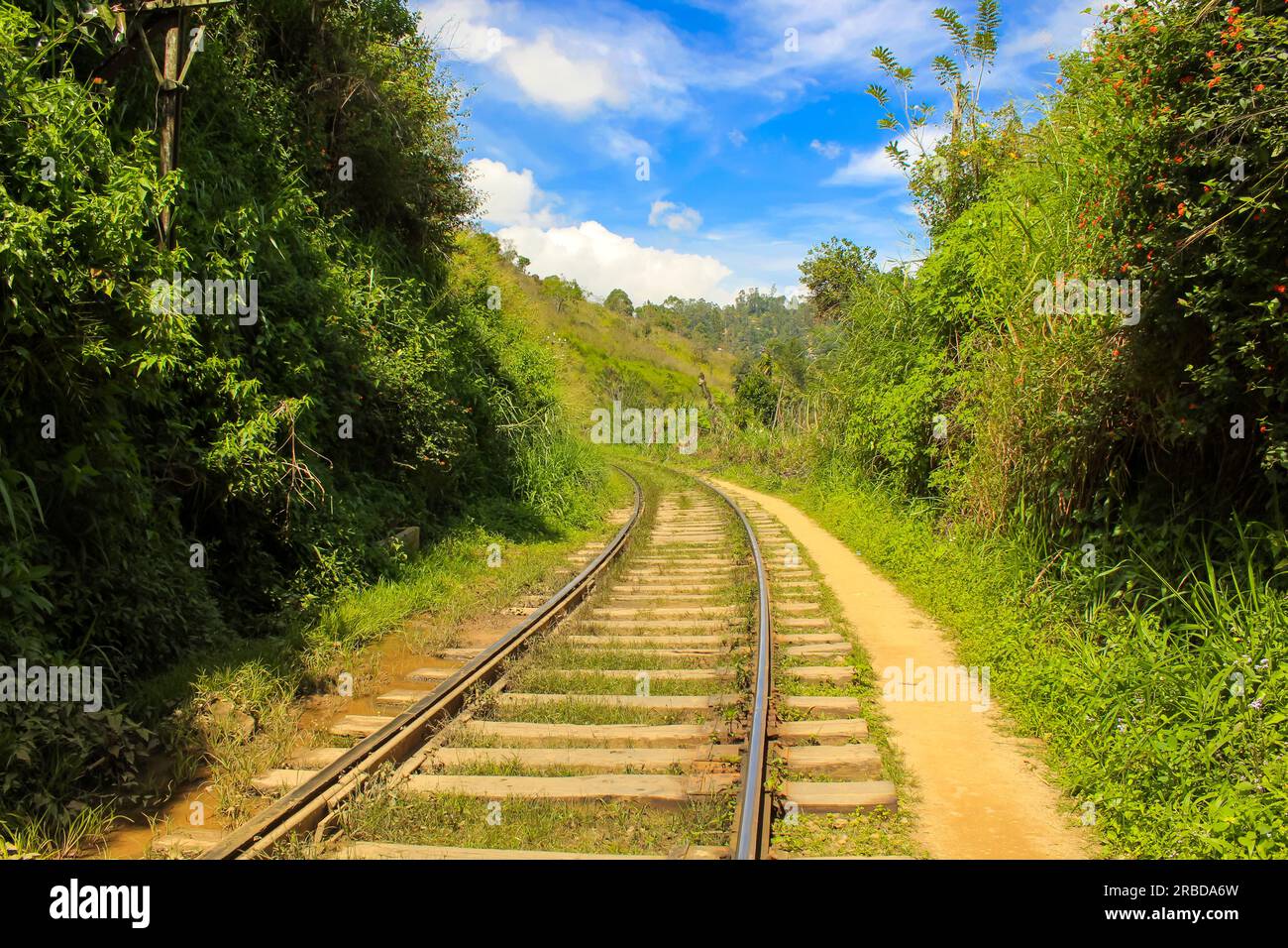 A path to famous Ella rock mountain in central Sri Lanka, early morning ...