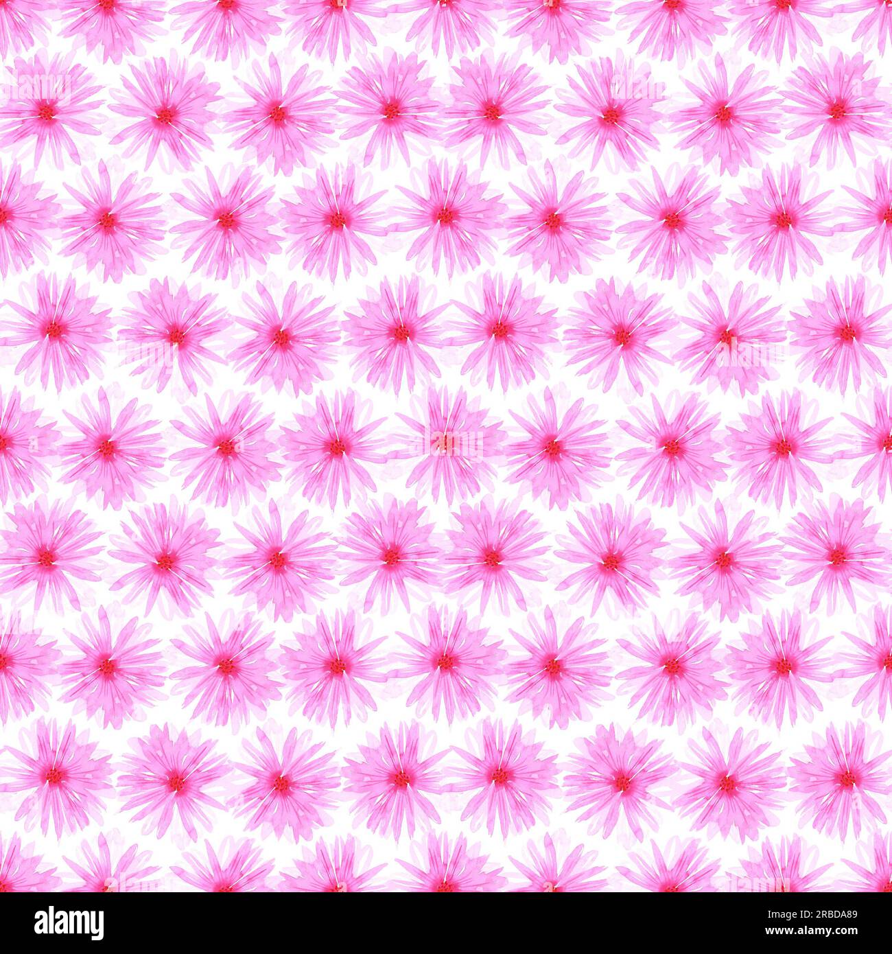 Hand drawn watercolor pink abstract daisy seamless pattern on white ...