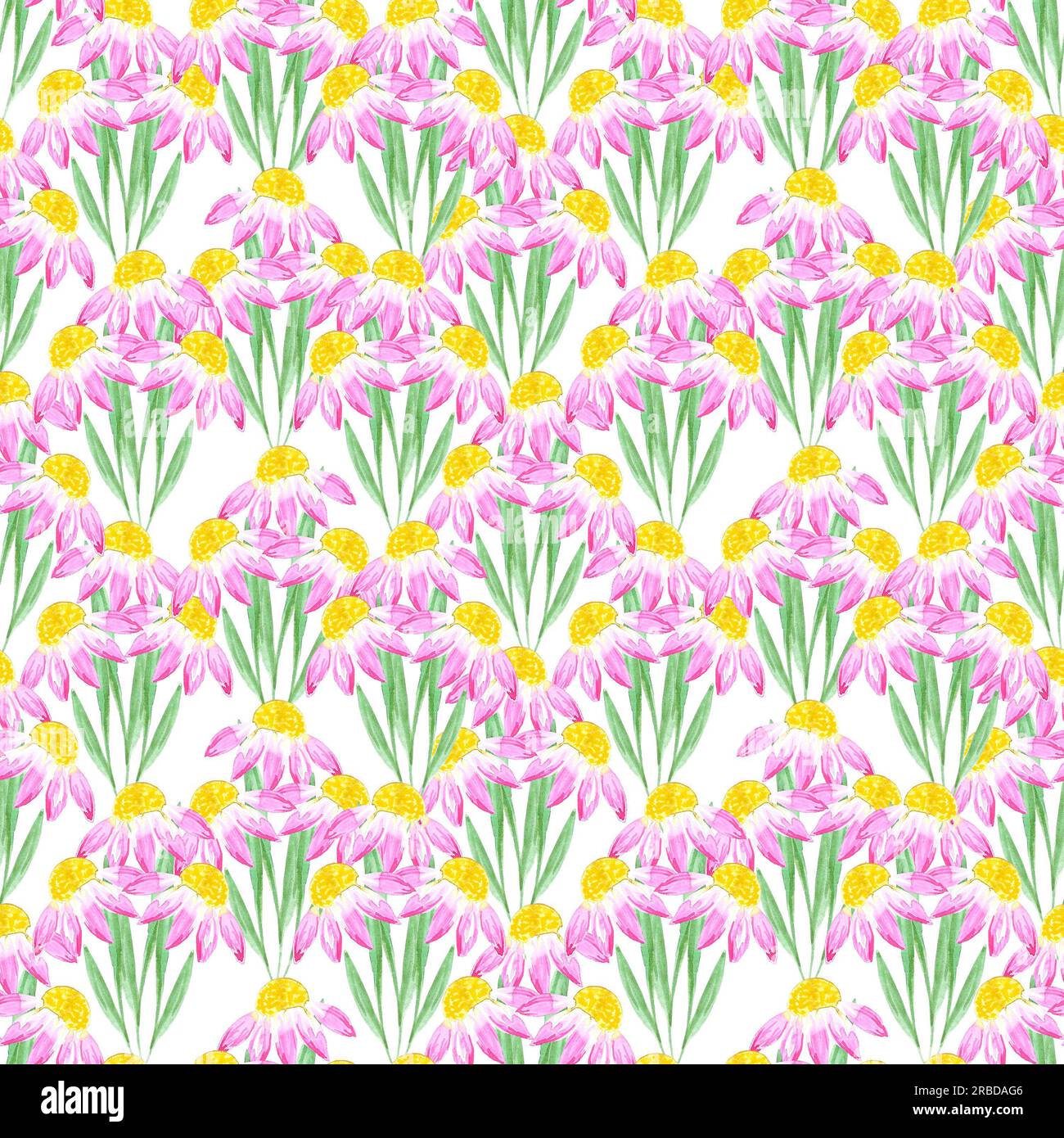 Hand drawn watercolor pink abstract dahlia seamless pattern on white ...