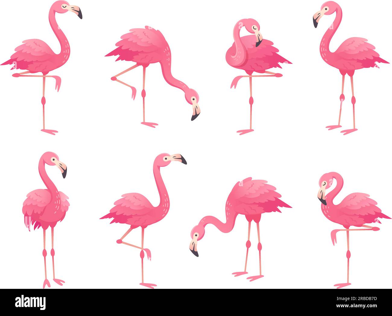Colorful african birds Stock Vector Images - Alamy