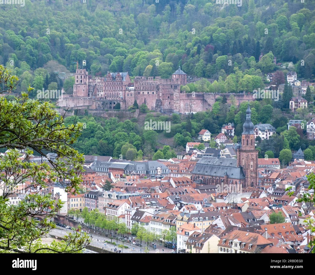 Germany, aerial view of Heidelberg traditional city and Schloss Heidelberg, palace castle on ...