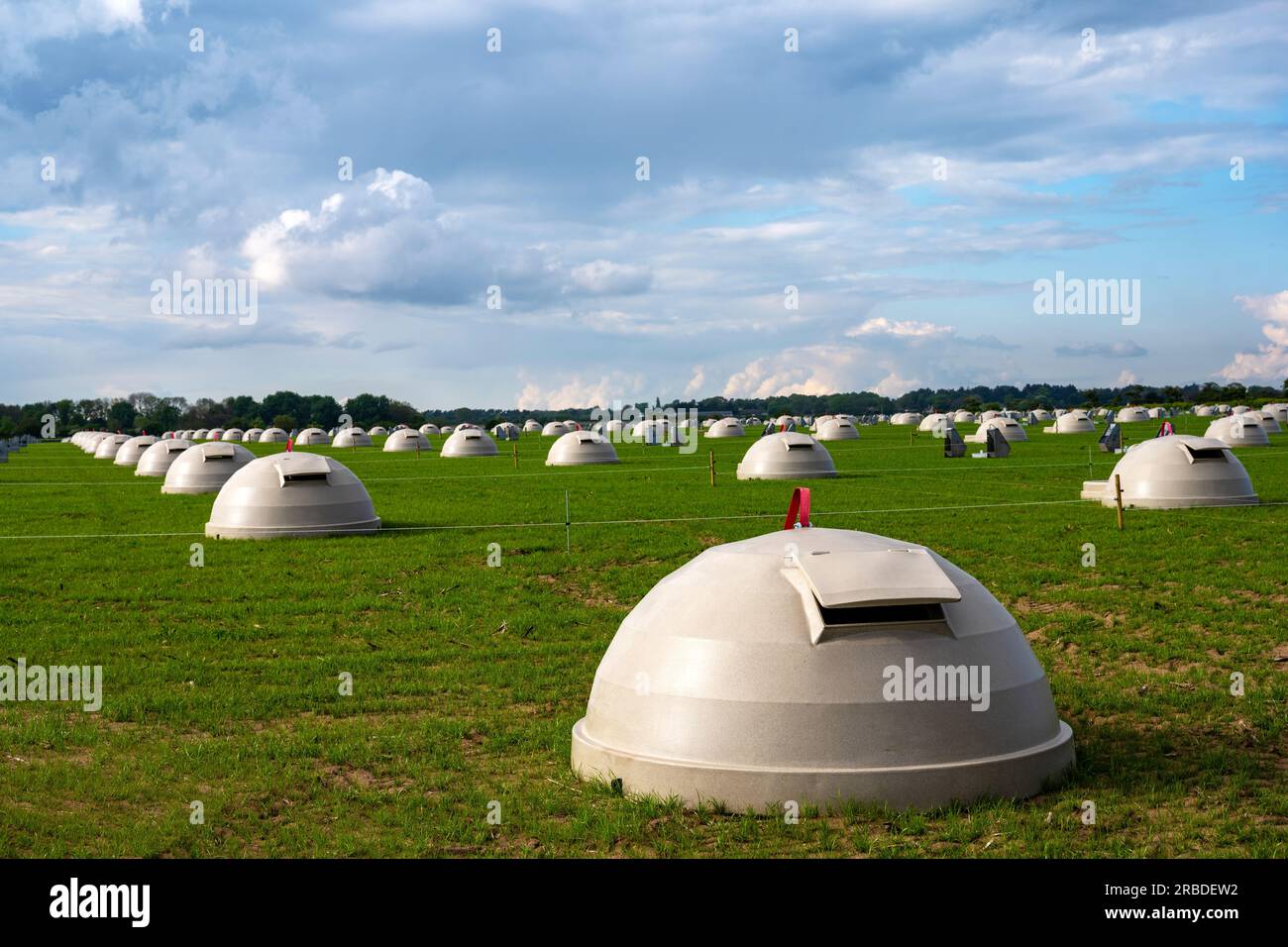 Outdoor pig rearing pens Stock Photo - Alamy