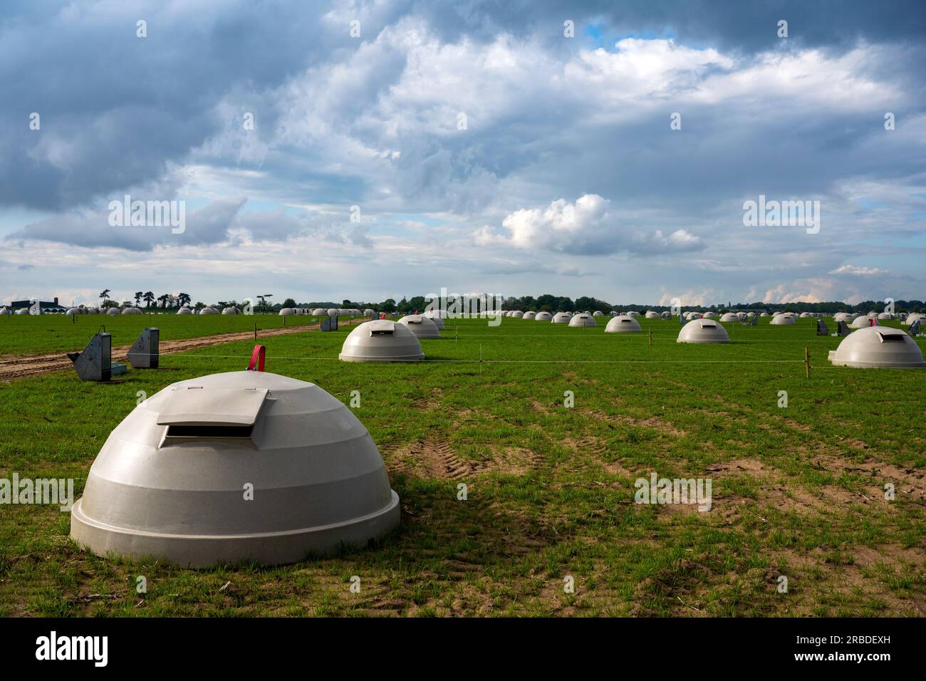 Outdoor pig rearing pens Stock Photo - Alamy