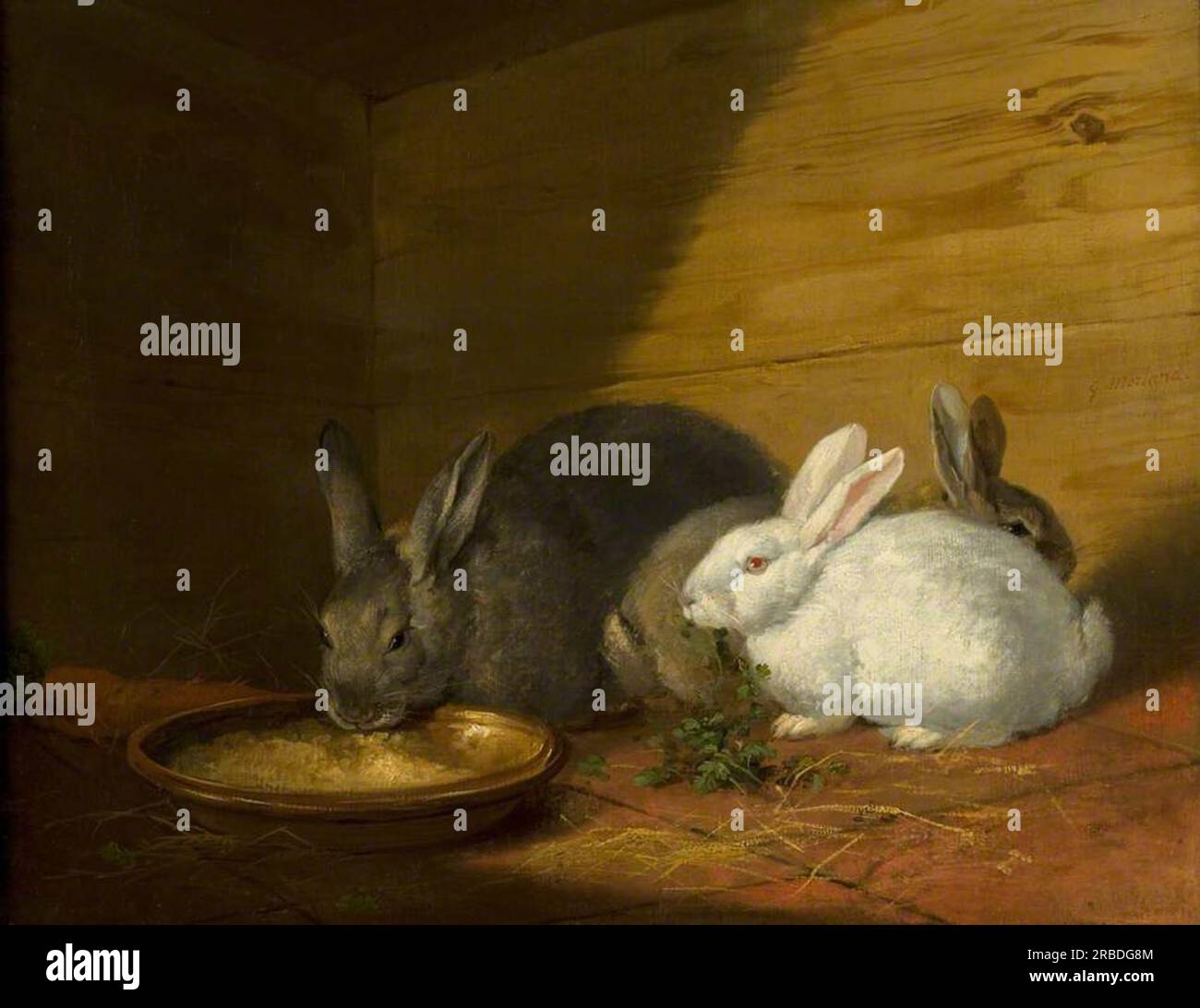 Rabbits by George Morland Stock Photo - Alamy