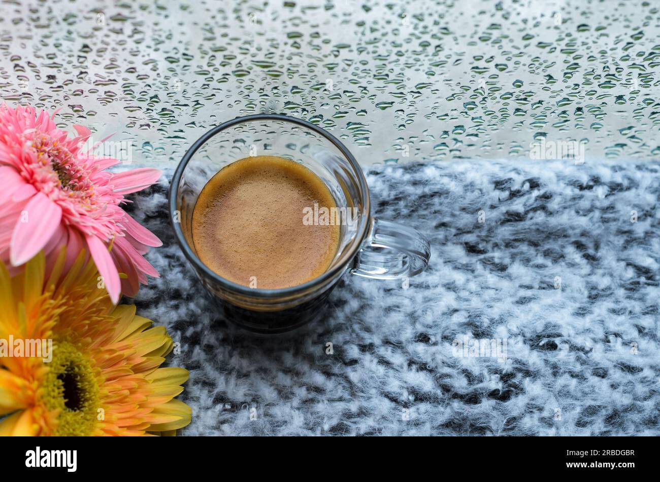 A glass of Espresso coffee shot puts on bed with Gerbera flowers when ...