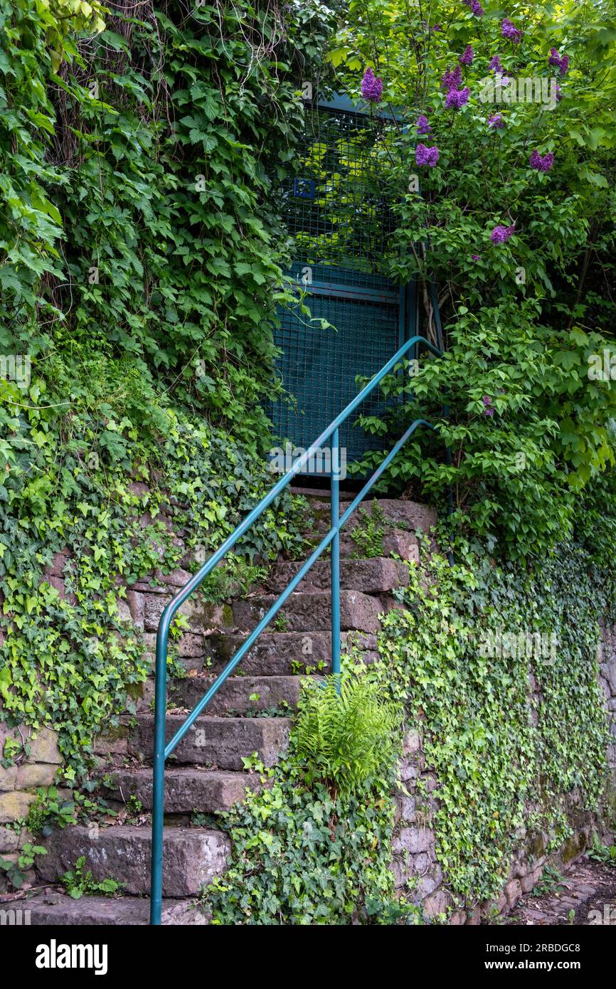 Stonewall with narrow stone stair drives to closed metal gate, entrance ...