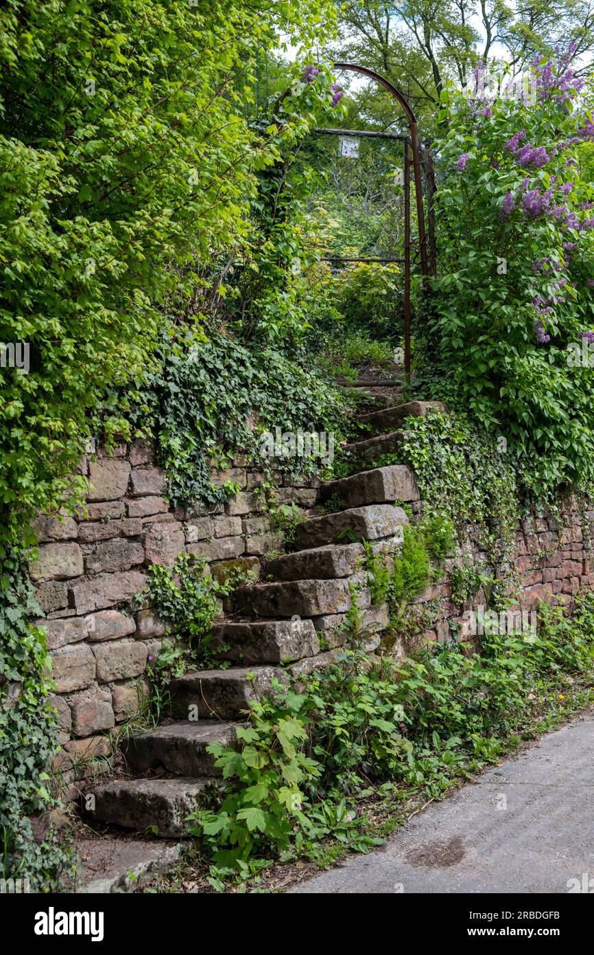 Stonewall with narrow stone stair drives to closed metal gate, entrance ...