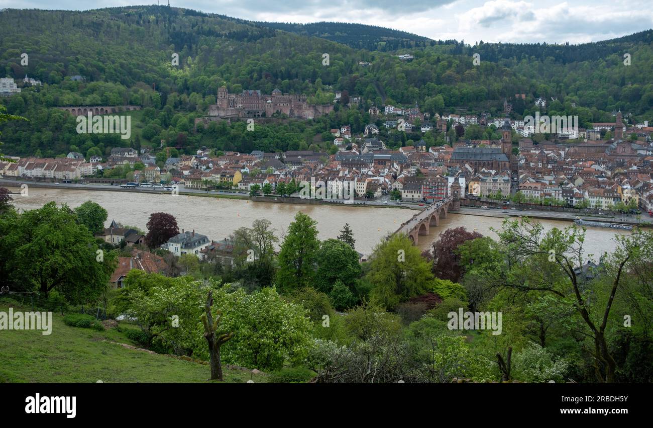 Germany, aerial view of Heidelberg traditional city next to Neckar ...