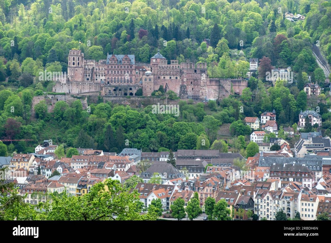 Germany, aerial view of Heidelberg traditional city and Schloss Heidelberg, palace castle on ...