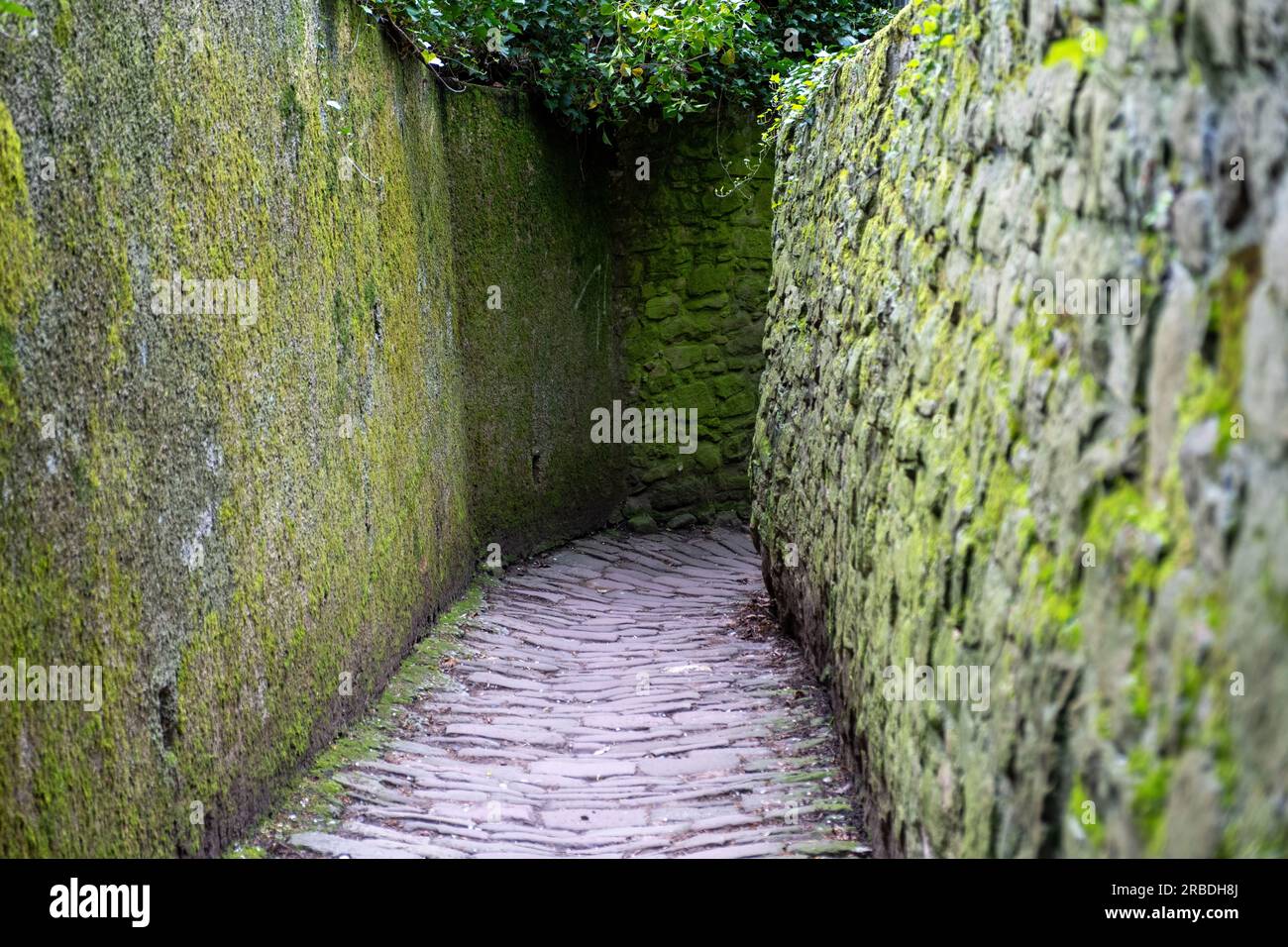 Germany, Philosopher Walk in Heidelberg city or Philosophenweg. Stone ...
