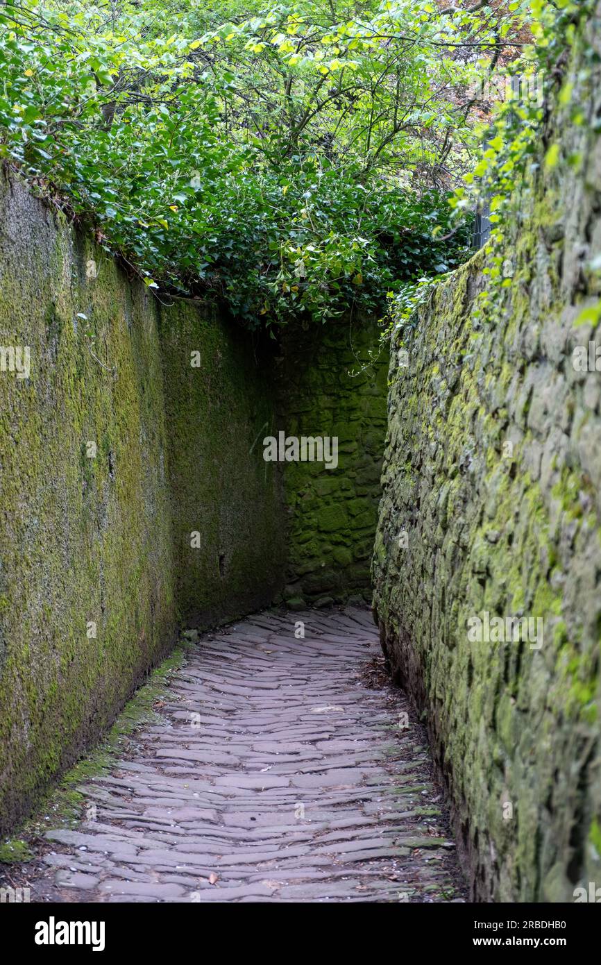 Germany, Philosopher Walk in Heidelberg city or Philosophenweg. Stone ...