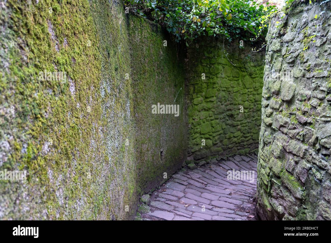 Germany, Philosopher Walk in Heidelberg city or Philosophenweg. Stone ...