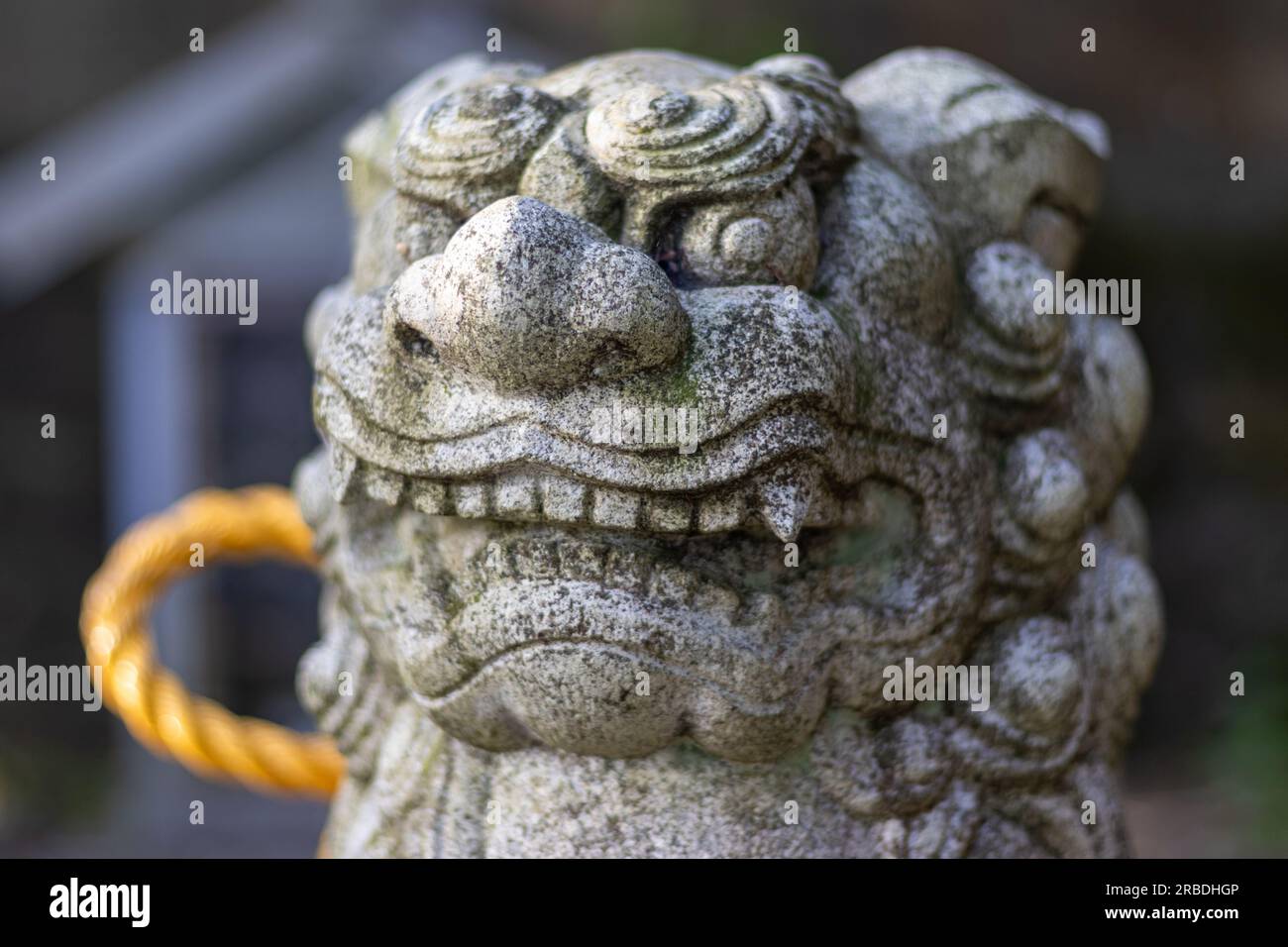 Komainu, or lion-dog, statue with shimenawa rope at imohoritougorou ...